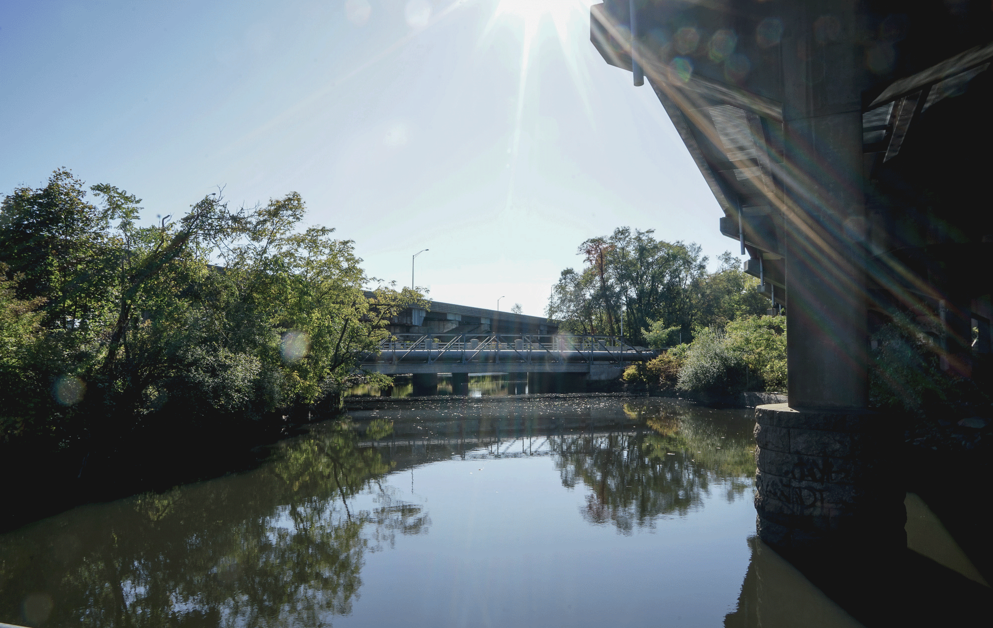 The Mill River Revival – The Yale Herald