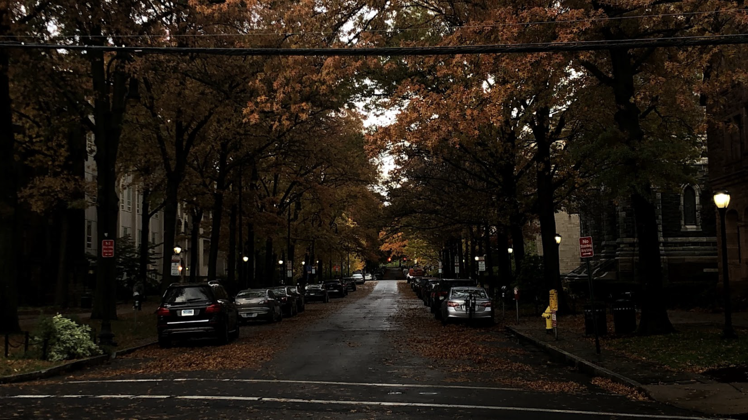 The Glow that Time Cannot Fade – The Yale Herald