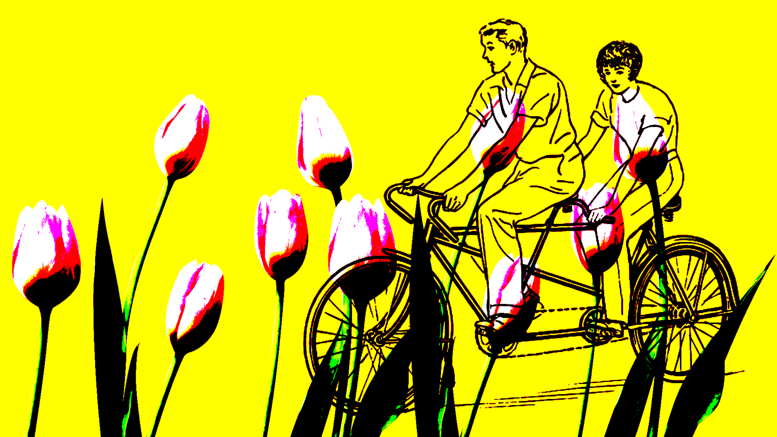 Warm-Weather Wonders – The Yale Herald