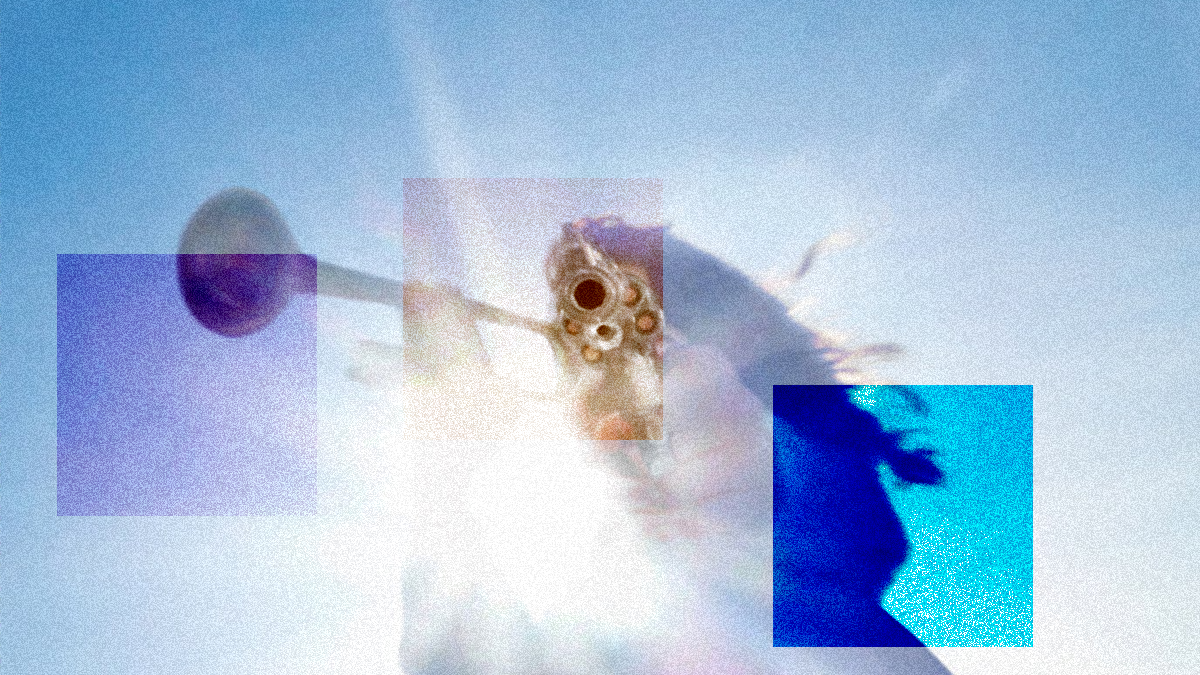 Geese: Mid Bird but a Killer Band – The Yale Herald