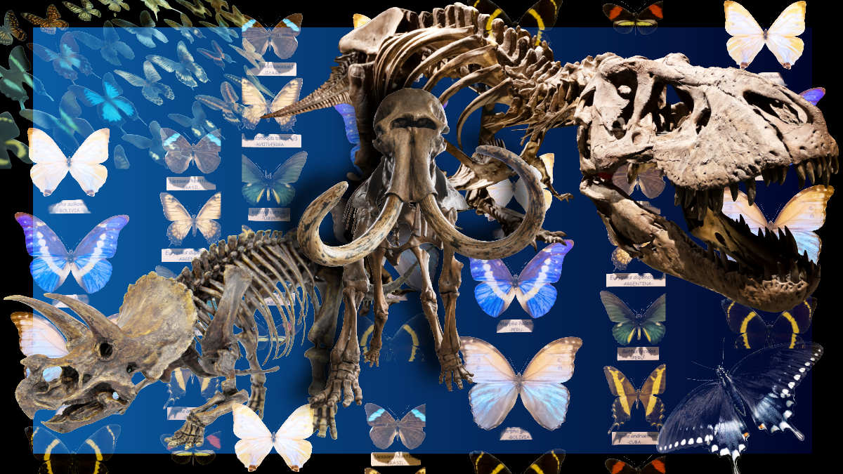 A Trip to the Science Museum – The Yale Herald